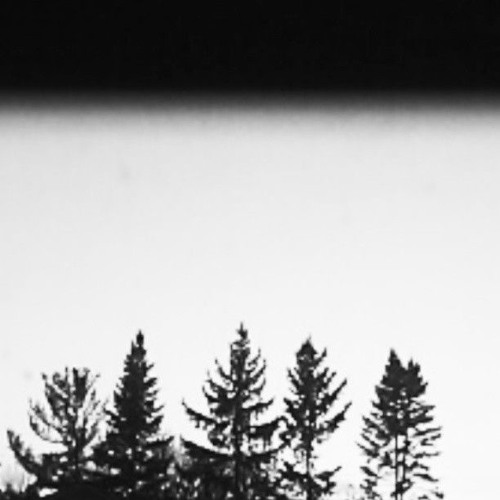 Stream Nathaniel Bitter music | Listen to songs, albums, playlists for ...