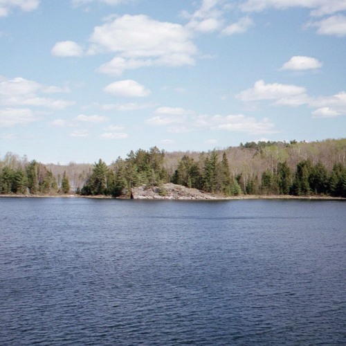 Stream Zane Walden music | Listen to songs, albums, playlists for free ...