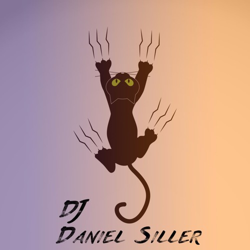 Stream Daniel Siller music | Listen to songs, albums, playlists for ...