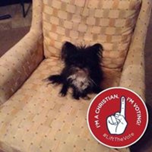 Stream Debbie Haddock music | Listen to songs, albums, playlists for ...