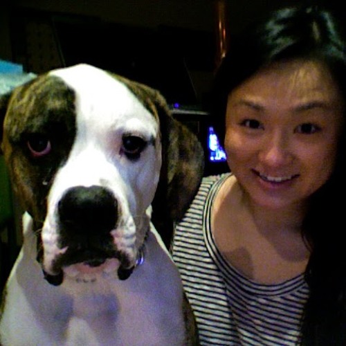 Stream Kate Cheng music | Listen to songs, albums, playlists for free ...