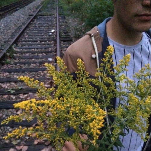 Stream Wes Harrison music | Listen to songs, albums, playlists for free ...