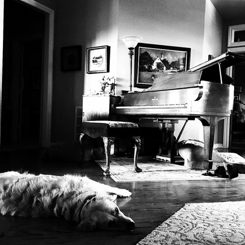 Stream Stepping Stone by Andrew David Eskridge | Listen online for free ...