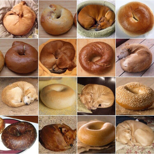 Stream Blommy music | Listen to songs, albums, playlists for free on ...