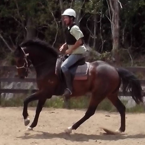 Stream Mark Hoole music | Listen to songs, albums, playlists for free ...