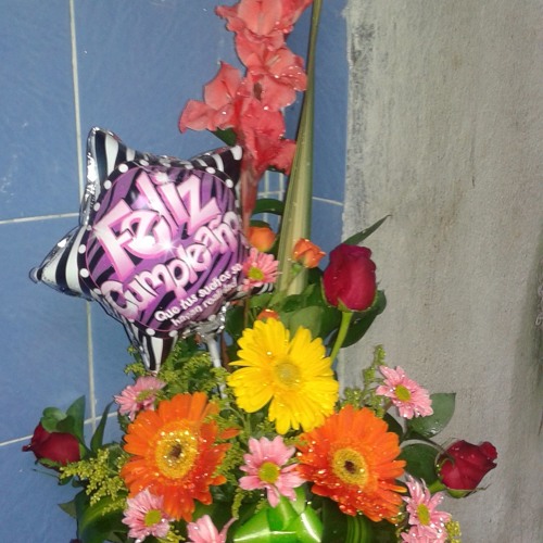 Stream Alexa Cardona Arenas music | Listen to songs, albums, playlists ...