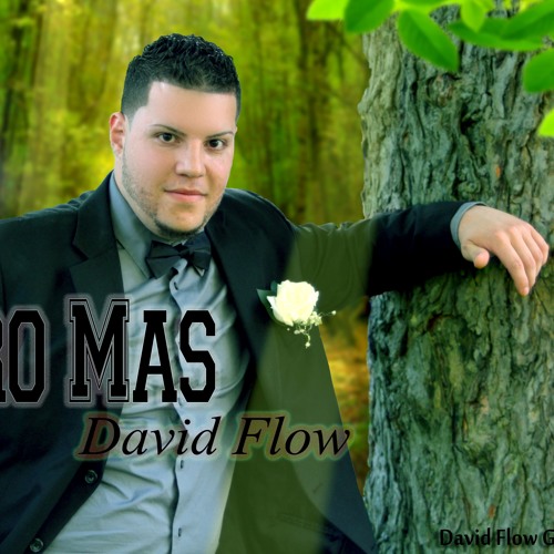 Stream David Flow music | Listen to songs, albums, playlists for free ...