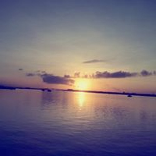 Stream Van Harvey Suan music | Listen to songs, albums, playlists for ...