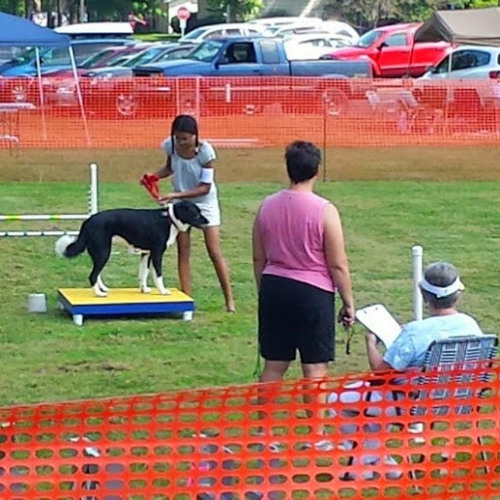 Stream lori berg music | Listen to songs, albums, playlists for free on ...