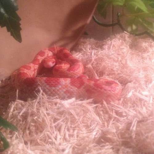 Stream Alan Waller music | Listen to songs, albums, playlists for free ...