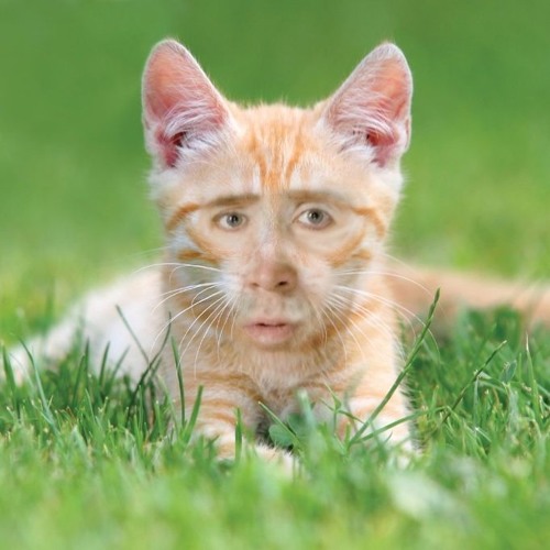 Stream Dylan Butler 2 music | Listen to songs, albums, playlists for ...