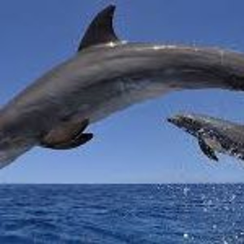 fghfhfhth - nimfomane.com