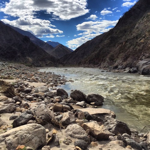 Stream zdzd music | Listen to songs, albums, playlists for free on ...