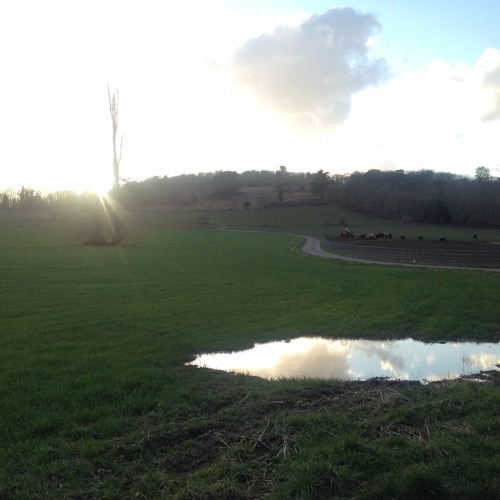 Stream Natalia Comas Gómez music | Listen to songs, albums, playlists ...