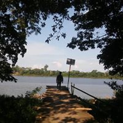 Stream Richard Geiser music | Listen to songs, albums, playlists for ...