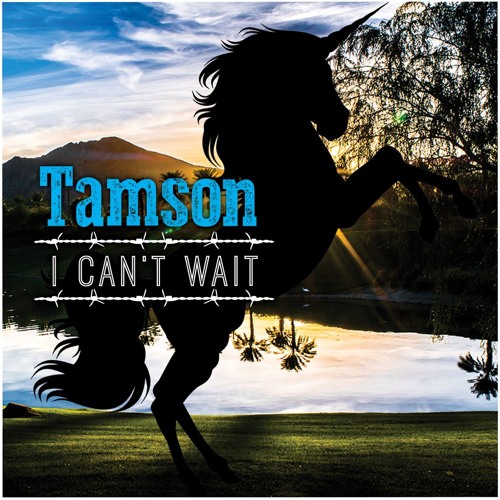 Stream Tamson Music music | Listen to songs, albums, playlists for free ...