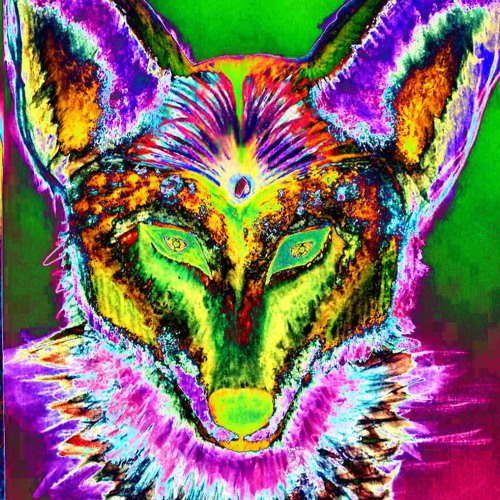 Stream Cayodi music | Listen to songs, albums, playlists for free on ...