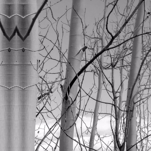 Stream Rhett Hayes music | Listen to songs, albums, playlists for free ...