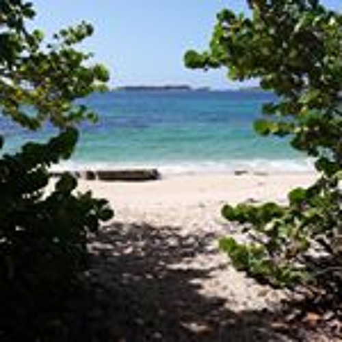 Stream Frederic Didier | Listen to 2 playlist online for free on SoundCloud