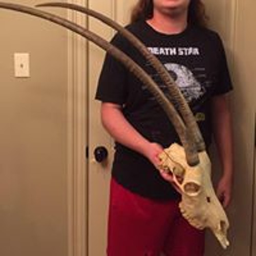 Stream Austin George music | Listen to songs, albums, playlists for ...