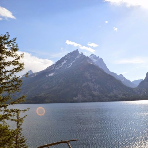 Stream Chase Cetta | Listen to A Brief History of Christendom playlist ...