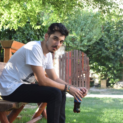 Stream Dobre Valentin Dan music | Listen to songs, albums, playlists ...