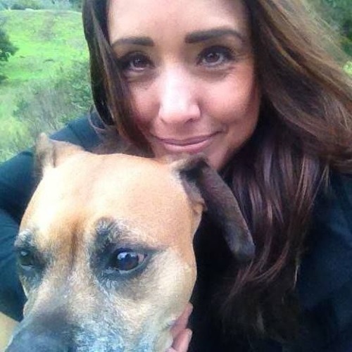 Stream Jill Brazil music | Listen to songs, albums, playlists for free ...