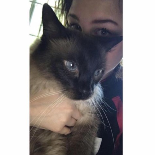 Stream Breonna Marie Anderson music | Listen to songs, albums ...