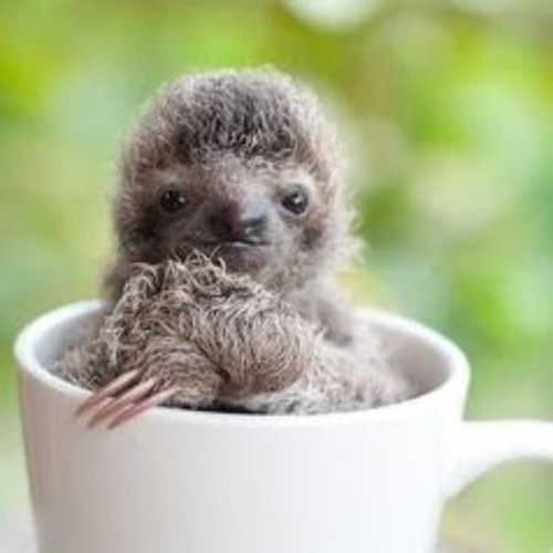 Stream Reagan Locke music | Listen to songs, albums, playlists for free ...