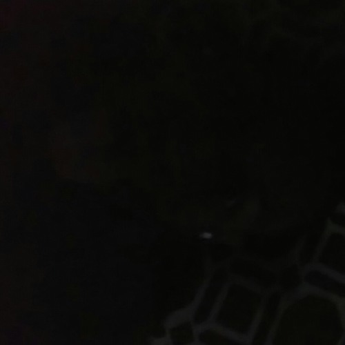 Stream fghuj music | Listen to songs, albums, playlists for free on ...