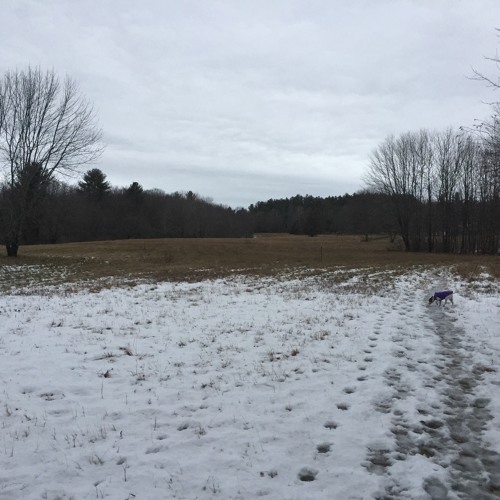 Stream Bob Pernice music | Listen to songs, albums, playlists for free ...