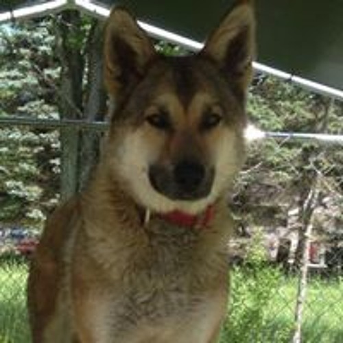 Stream Madison Bradner music | Listen to songs, albums, playlists for ...