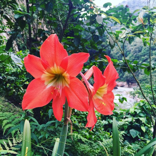 Stream Safe Driver music | Listen to songs, albums, playlists for free ...