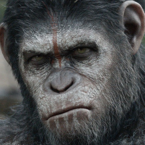 Stream Ceza-Panaroma Harem by Samet Akbal | Listen online for free on SoundCloud