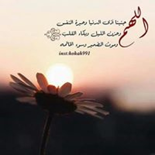 Stream Sherry Soliman music | Listen to songs, albums, playlists for ...