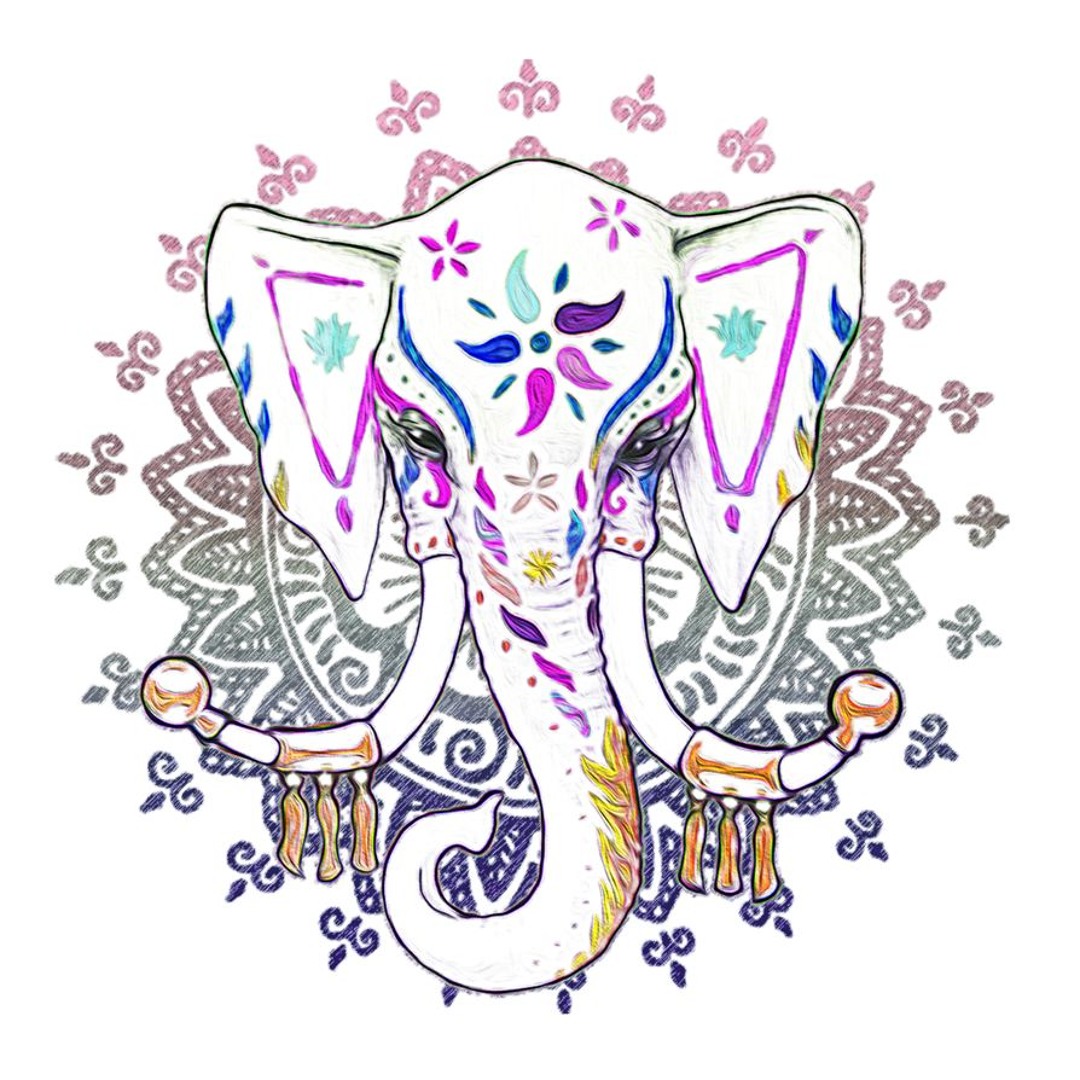 Stream Elephant State music | Listen to songs, albums, playlists for ...