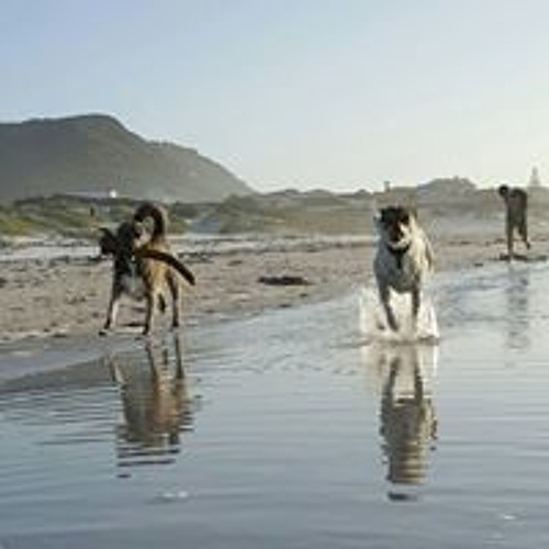 Stream Dion Marsh music | Listen to songs, albums, playlists for free ...