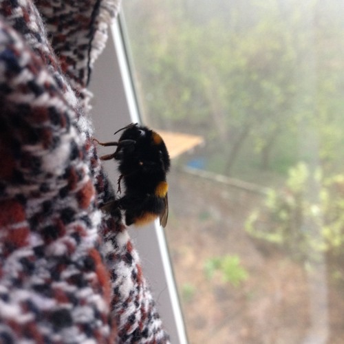 Stream Grace Kyne-Lilley music | Listen to songs, albums, playlists for ...