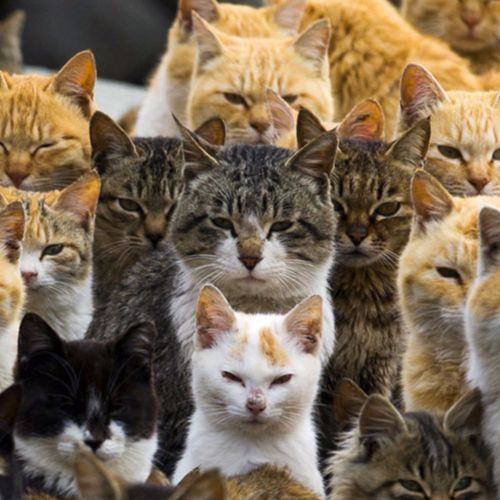 Stream Dr.creeper music | Listen to songs, albums, playlists for free ...