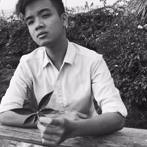 Stream Raphael Nguyen music | Listen to songs, albums, playlists for ...