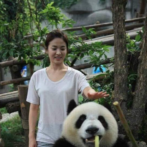 Stream Sandar Chit Swe music | Listen to songs, albums, playlists for ...