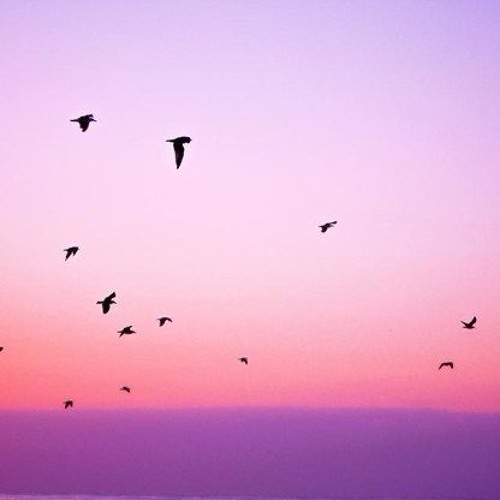 Stream Lily Doan music | Listen to songs, albums, playlists for free on ...