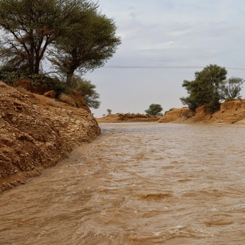 Stream sami al hamad music | Listen to songs, albums, playlists for ...