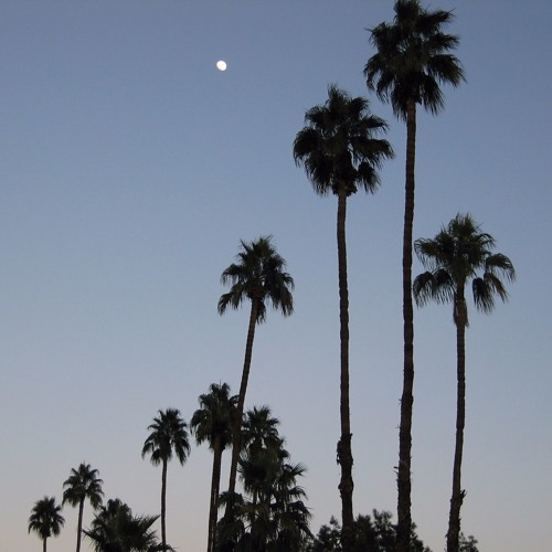 Stream Samwell music | Listen to songs, albums, playlists for free on ...