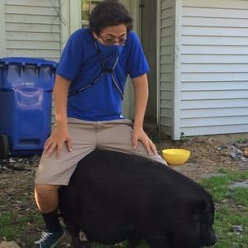 Stream lllllllllllllll music | Listen to songs, albums, playlists for ...