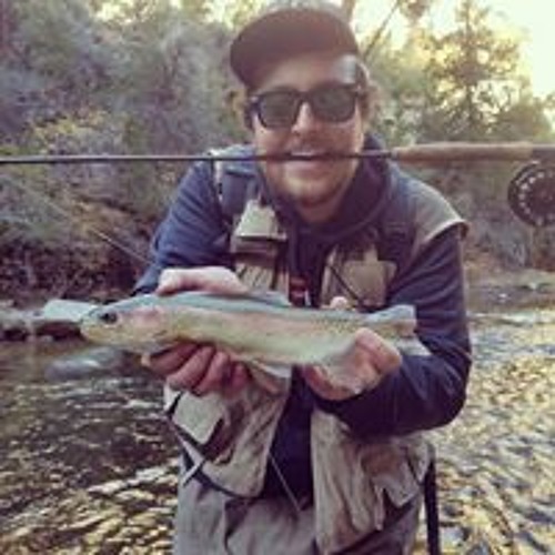 Stream Cameron Peyrot | Listen to chris rivets playlist online for free ...