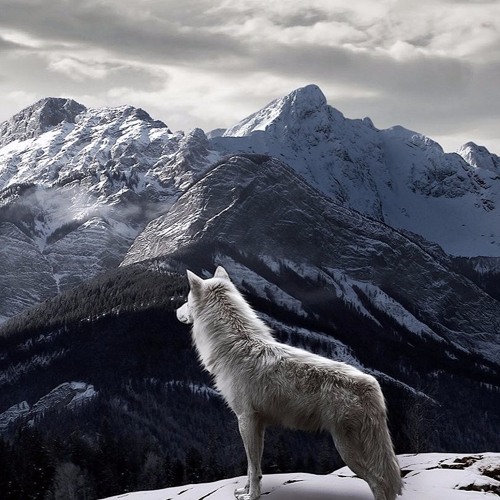 Stream Sebastiaan Rutten music | Listen to songs, albums, playlists for ...