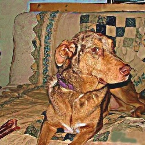 Stream Steve Pinkney music | Listen to songs, albums, playlists for ...