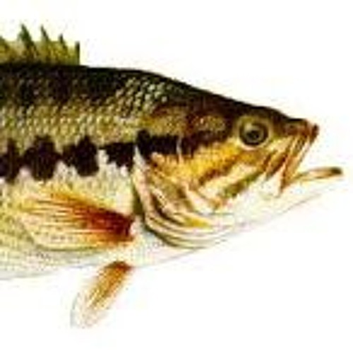 Stream Anthony Lussier music | Listen to songs, albums, playlists for ...