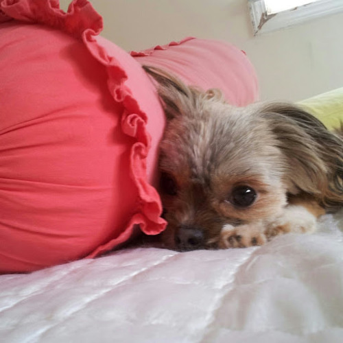 Stream CHRISTINE PAE music | Listen to songs, albums, playlists for ...